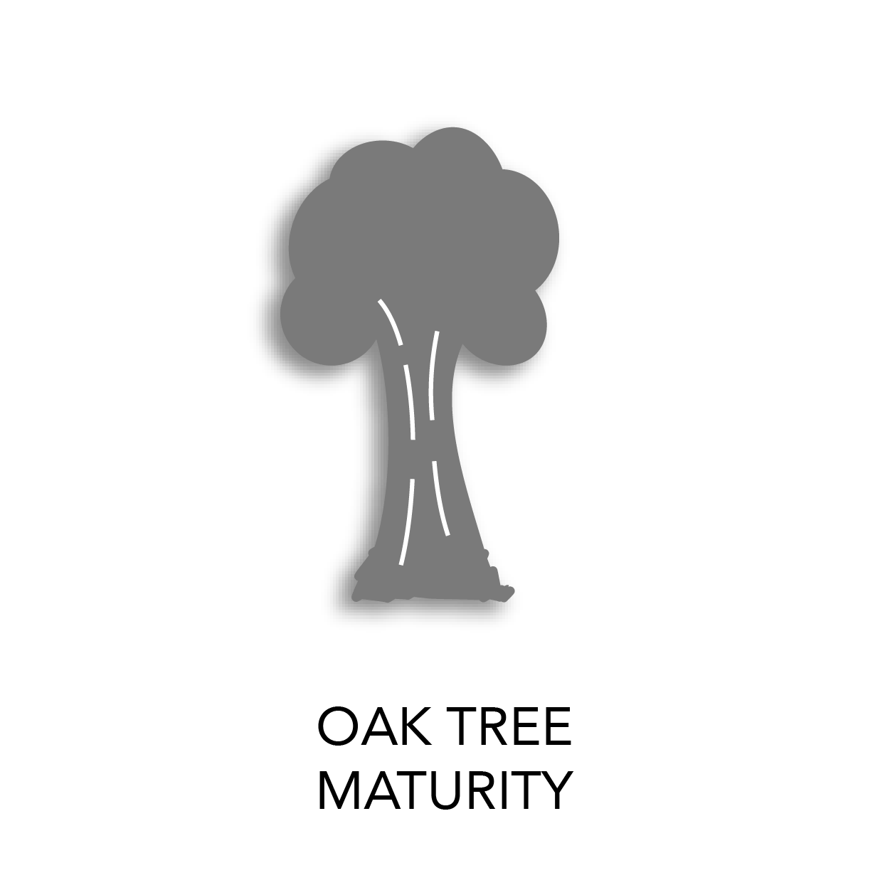 Transform Stress – New Skills for Stress